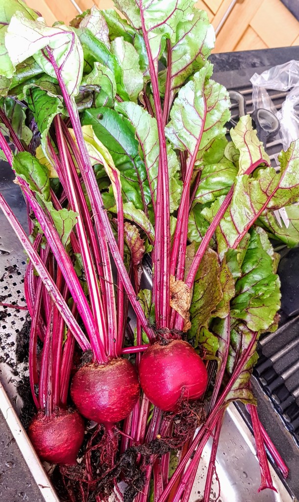 Roasted Beetroot Salad | THE WEE CALEDONIAN COOK